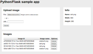 Tutorial Python | Desarrollo web Flask first image